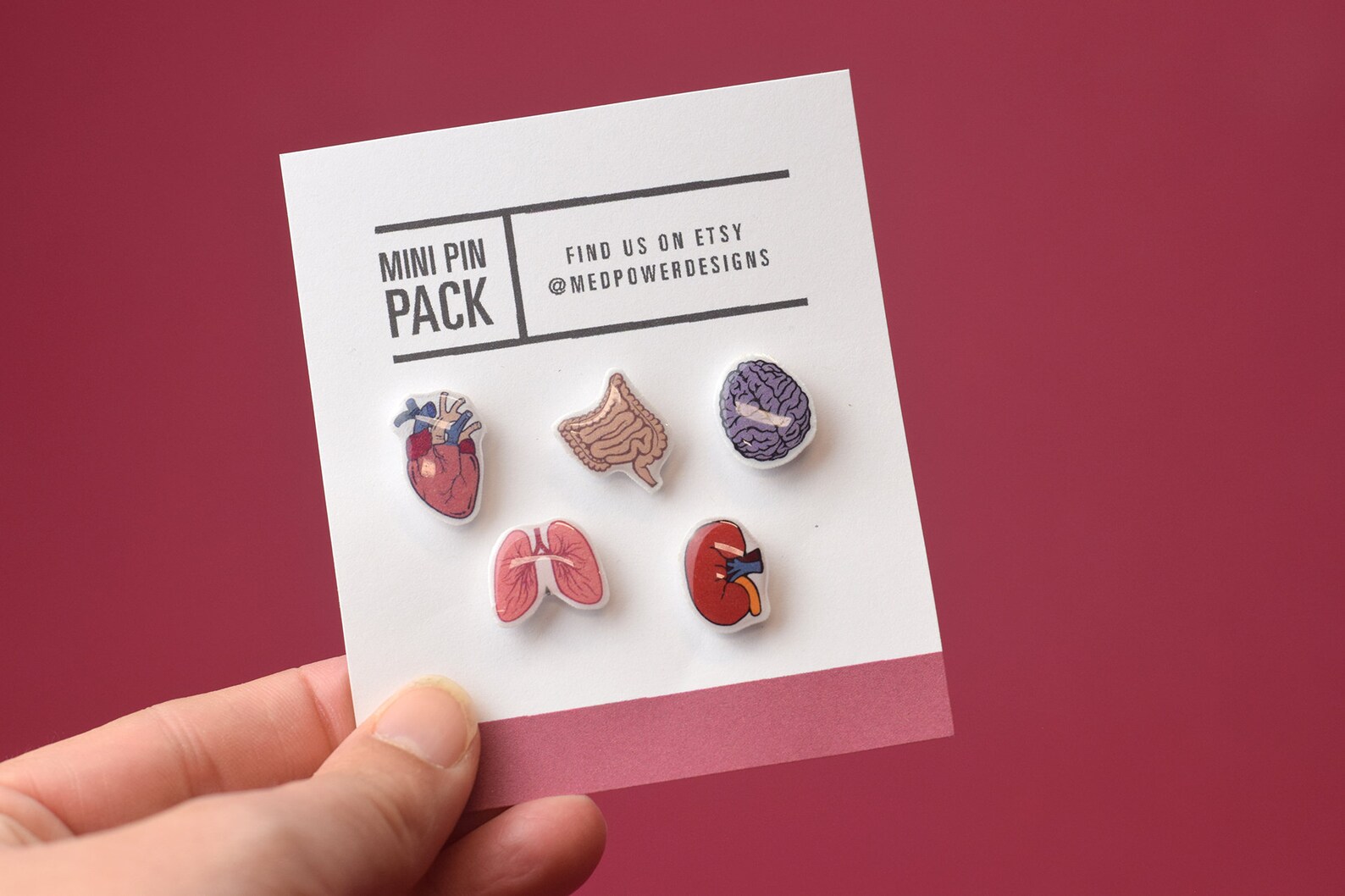 Organ Mini Pin Pack, Human Brain Pin, Intestine Pin, Anitomical Heart ...