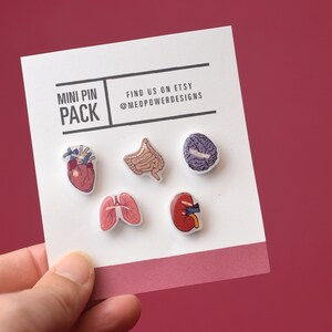 Organ Mini Pin Pack, Human Brain Pin, Intestine Pin, Anitomical Heart ...