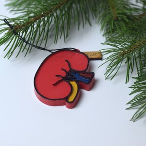 Anatomical Kidney Ornament, Kidney Ornament, Dialysis Ornament ...