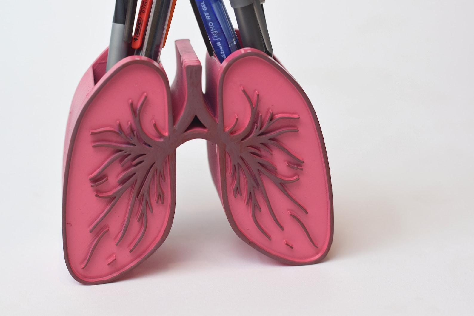 Lung Pen Holder Respiratory Lungs Gift Organ Pen Holder - Etsy