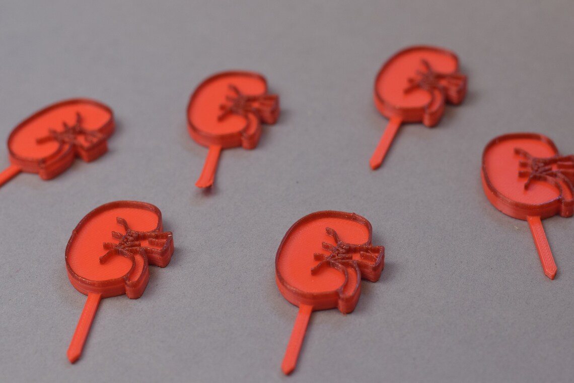 Kidney Cupcake Toppers Organ Cupcake Topper Doctor Medical - Etsy