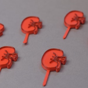 Kidney Cupcake Toppers, Organ Cupcake Topper, Doctor, Medical Cupcake ...