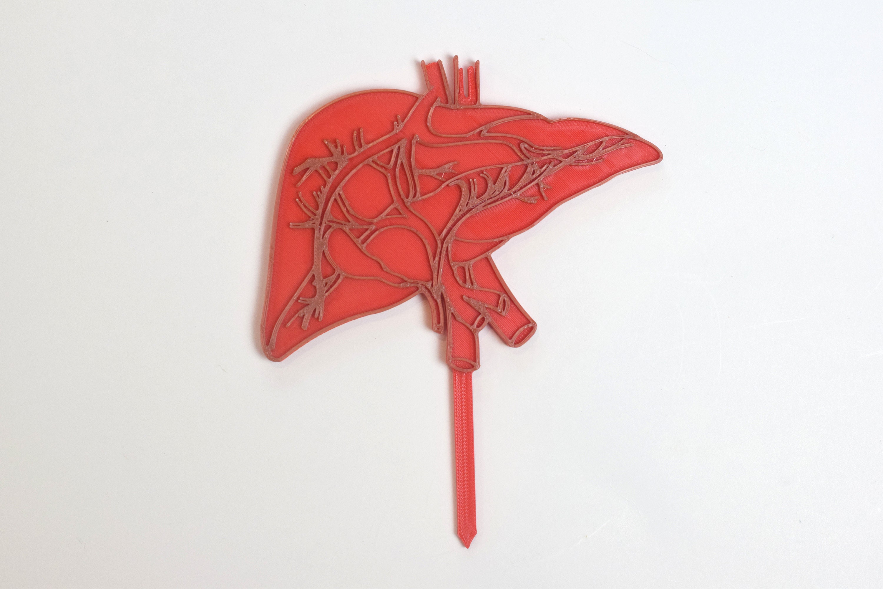 Liver Cake Topper, Medical Cake Decorations, Gift for Doctor, Liver ...