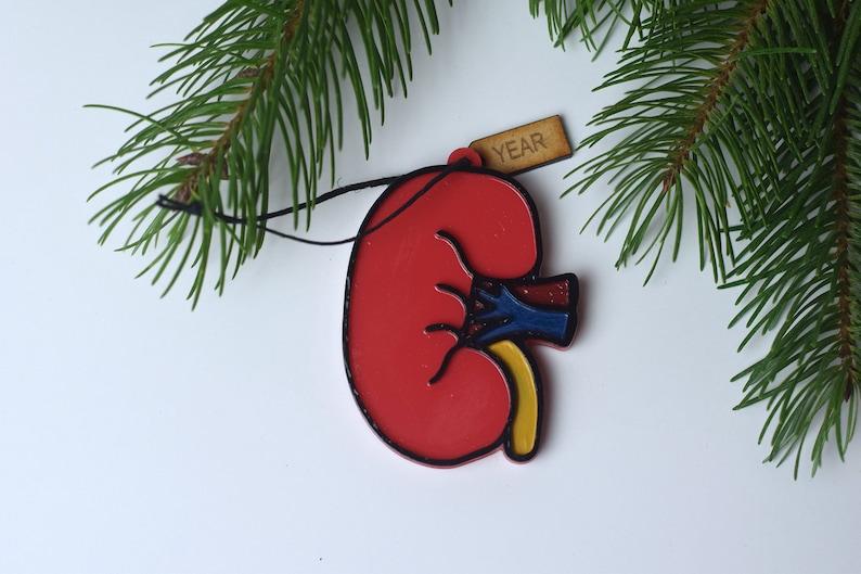 Anatomical Kidney Christmas Ornament, Hand Painted Resin - Etsy