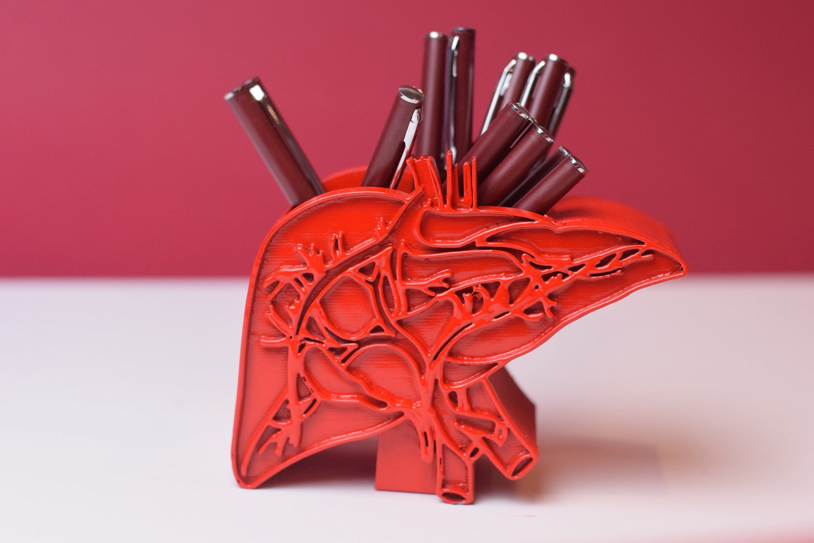 Red Liver Pen Holder Medical Pen Holder Gift for Doctor - Etsy