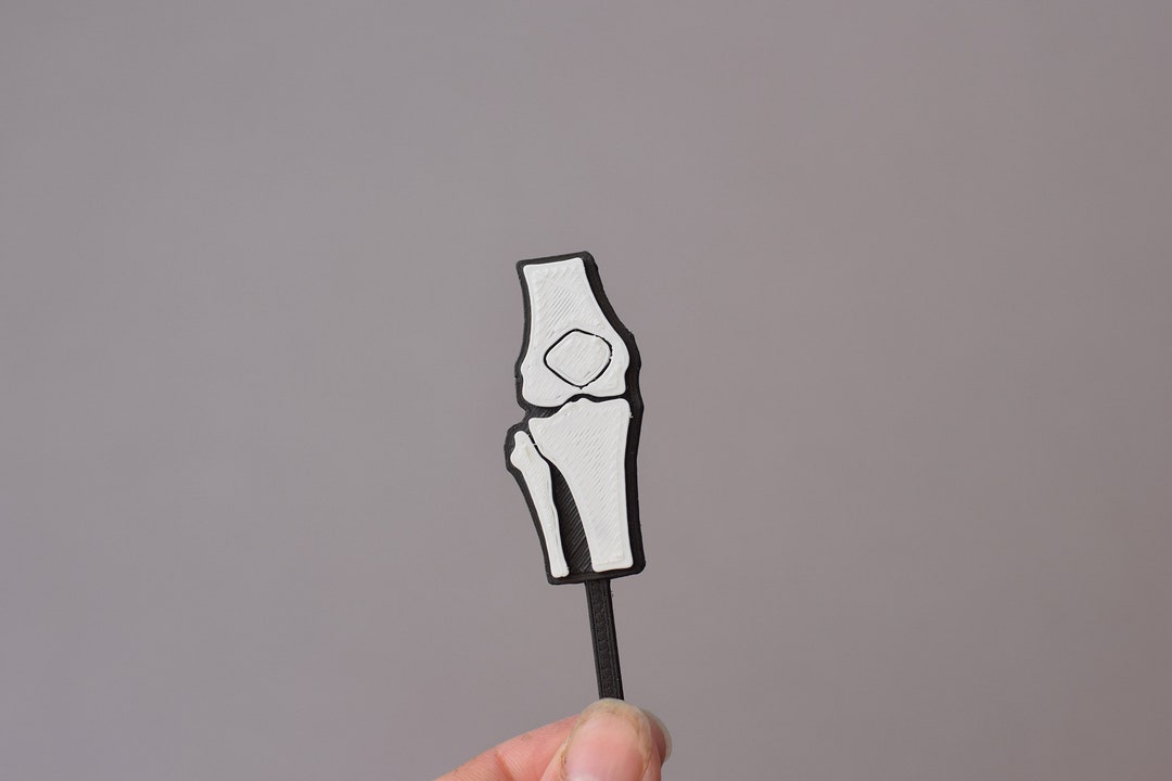 Knee Bone Cupcake Toppers, Skeleton Cupcake Topper, Radiologist Gift ...