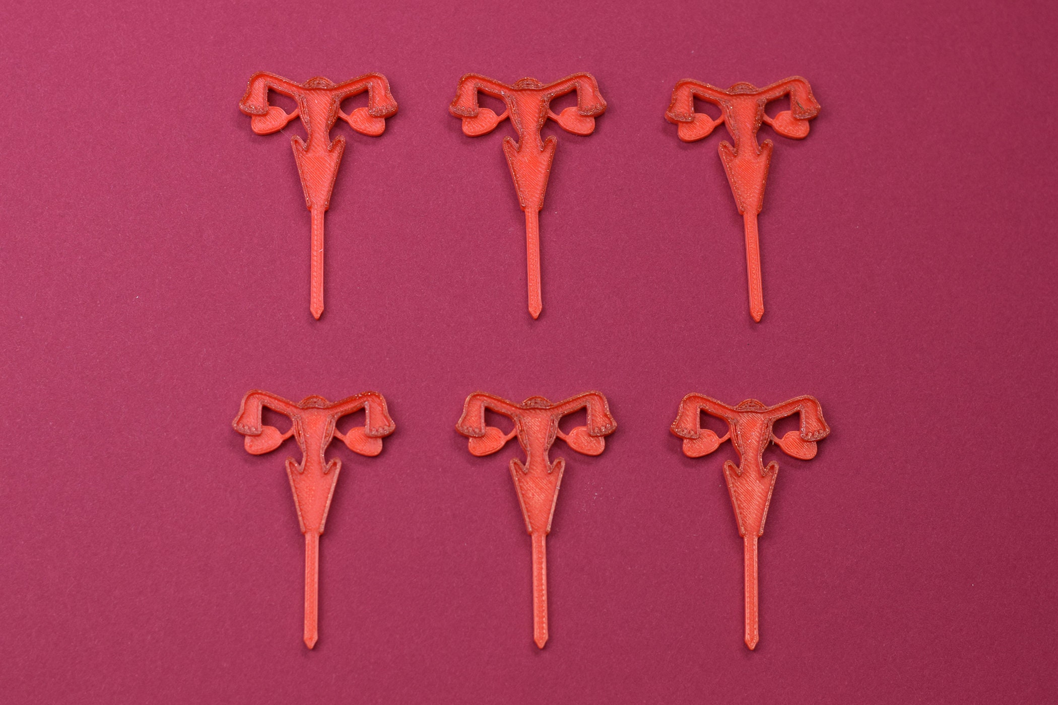 Uterus Cupcake Toppers, Ovary Cupcake Topper, Female Reproductive ...