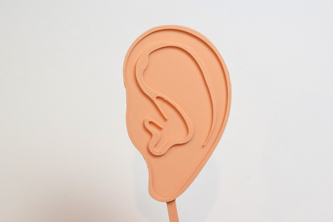 Ear Cake Topper Ear Gift Audiologist Gift Audiology Party ENT Gift ENT ...