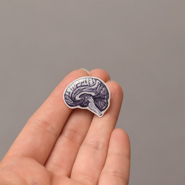 Brain Pin - Etsy