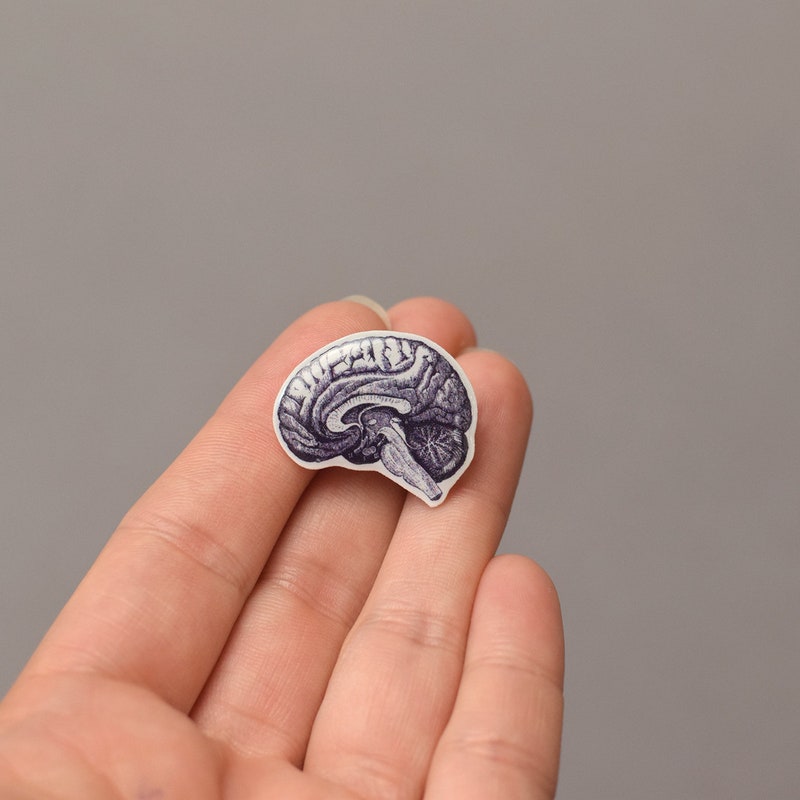 Brain Pin - Etsy