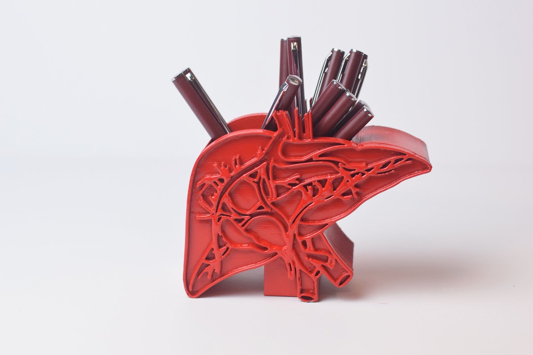Red Liver Pen Holder, Medical Pen Holder, Gift for Doctor, Medical ...