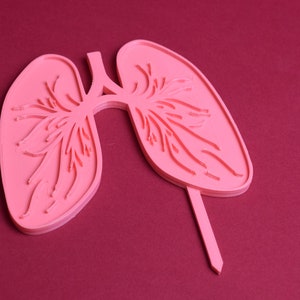 Lung Cake Topper Respiratory Lungs Gift Organ Cake Topper Respiratory ...