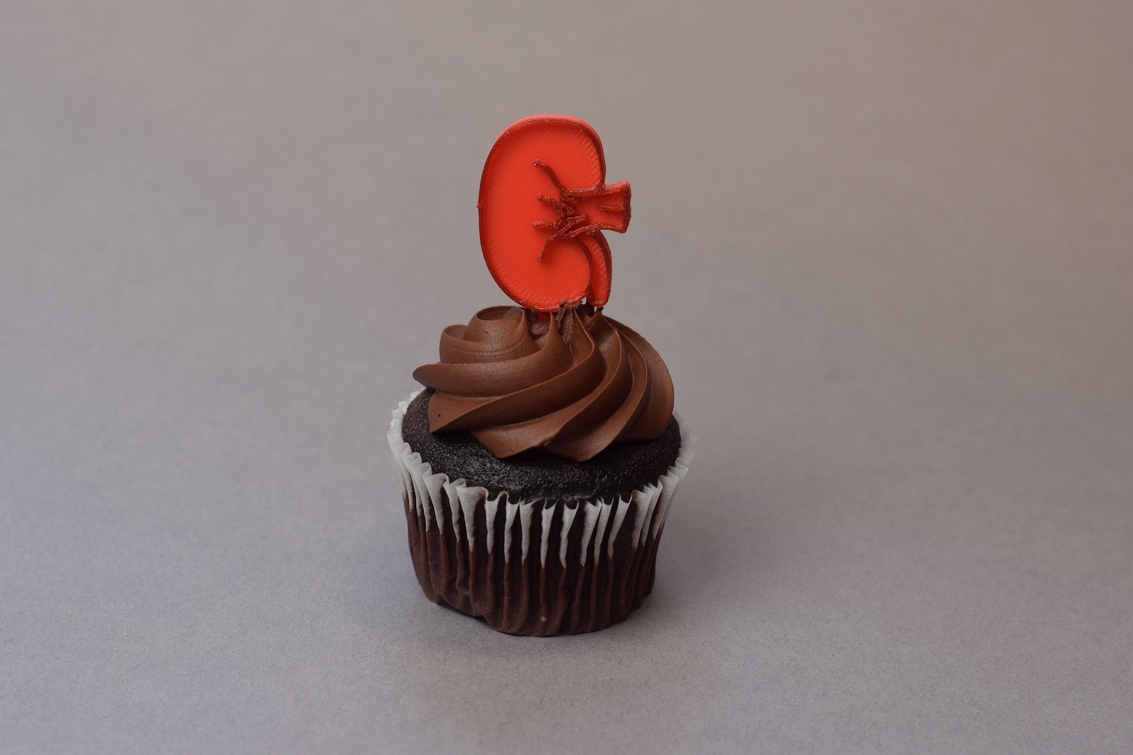 Kidney Cupcake Toppers Organ Cupcake Topper Doctor Medical - Etsy