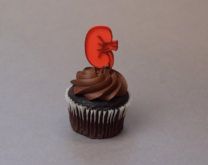 Kidney Cupcake Toppers, Organ Cupcake Topper, Doctor, Medical Cupcake ...