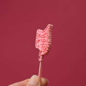 Intestine Cupcake Toppers, Gastrointestinal Party Decor - Etsy