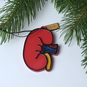 Anatomical Kidney Ornament, Kidney Ornament, Dialysis Ornament ...
