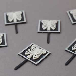 X-ray Cupcake Toppers, Skeleton Cupcake Topper, Radiologist Gift ...