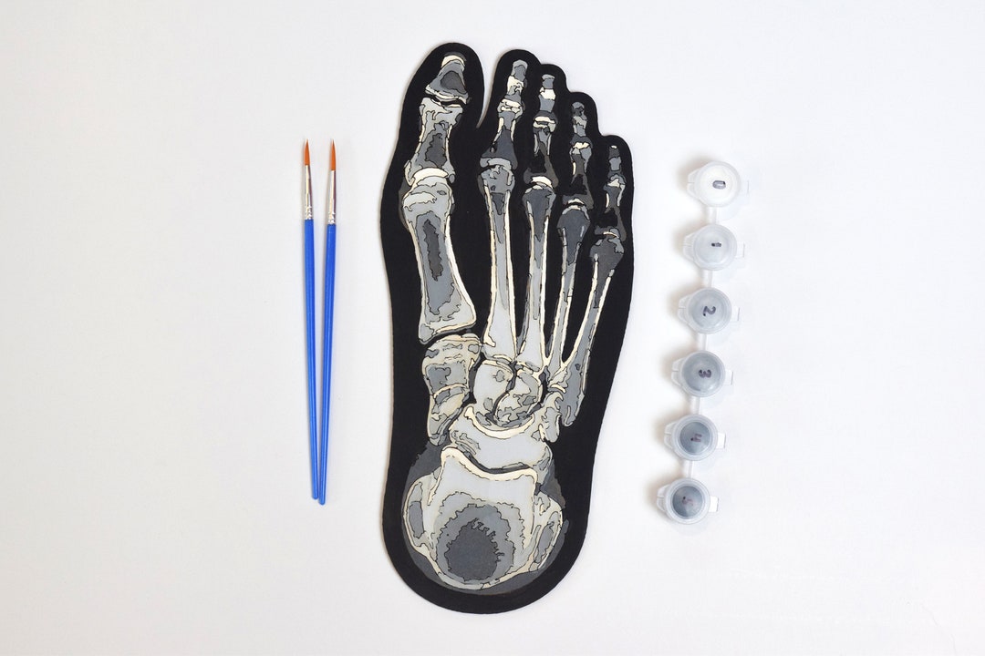 Foot Xray Paint by Number Kit Foot Gift Podiatrist Podiatry Doctor of ...