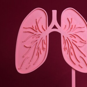 Lung Cake Topper Respiratory Lungs Gift Organ Cake Topper Respiratory ...