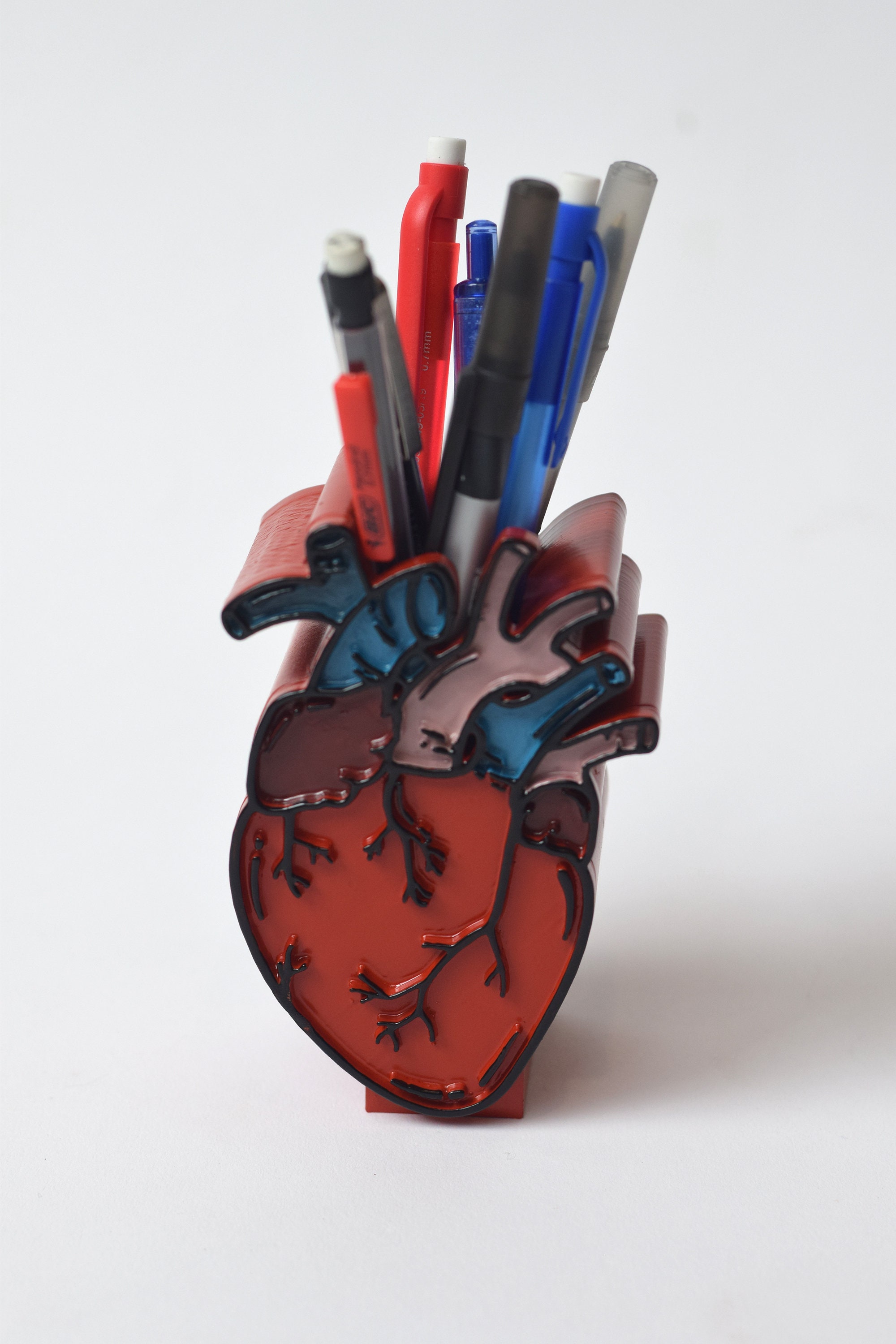 Anatomical Human Heart Pen holder heart decor Doctor | Etsy