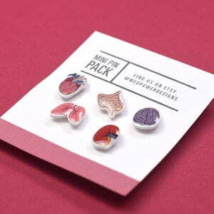 Organ Mini Pin Pack, Human Brain Pin, Intestine Pin, Anitomical Heart ...