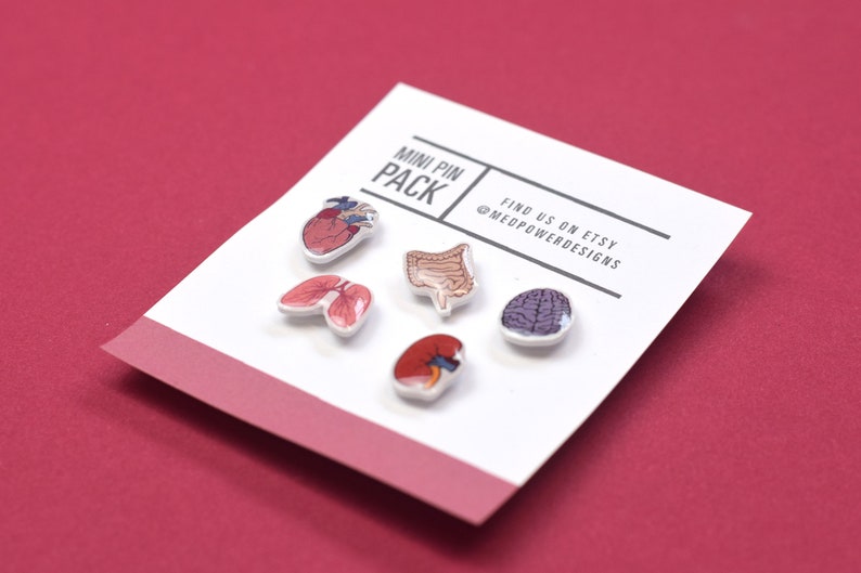 Organ Mini Pin Pack, Human Brain Pin, Intestine Pin, Anitomical Heart ...
