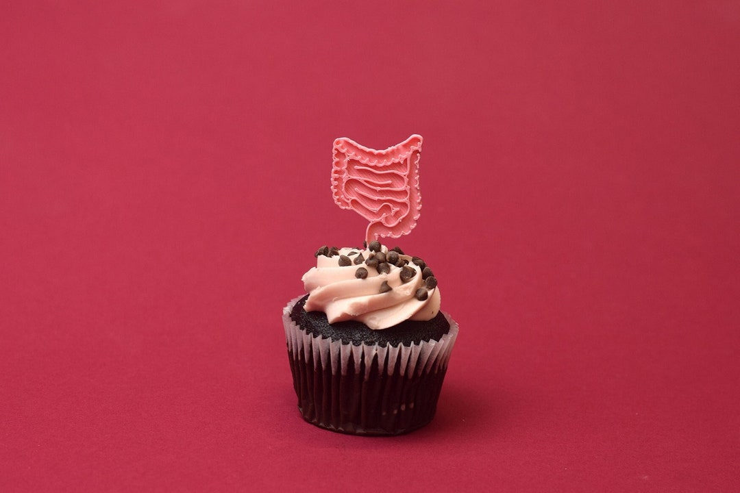 Intestine Cupcake Toppers, Gastrointestinal Party Decor - Etsy