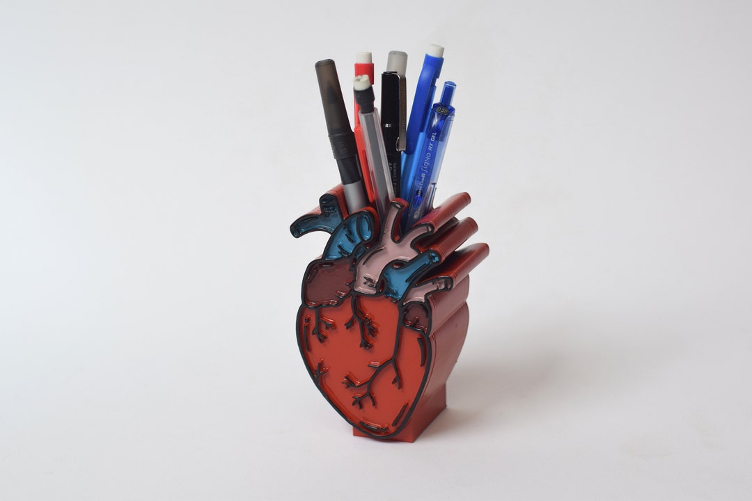 Anatomical Human Heart Pen Holder, Heart Decor, Doctor, Medical ...