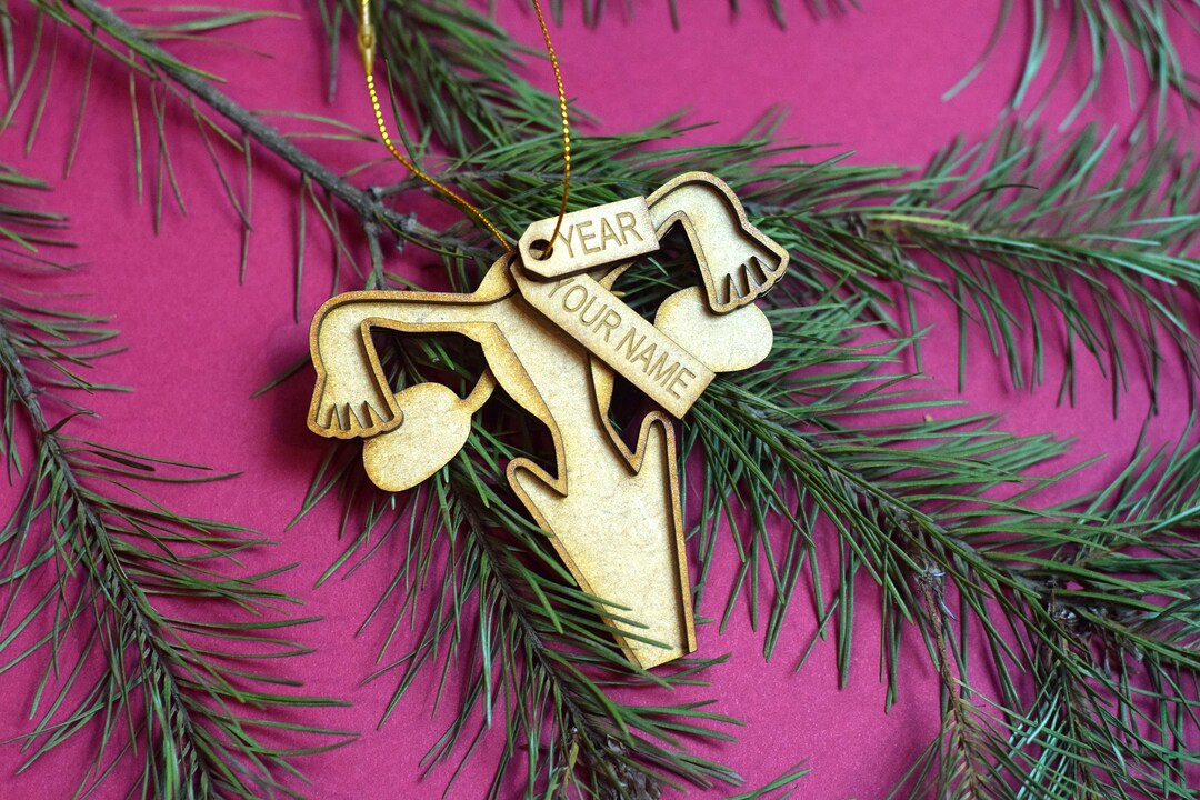 Uterus Ornament, Ovary Ornament, Female Reproductive System, Obstetrics ...