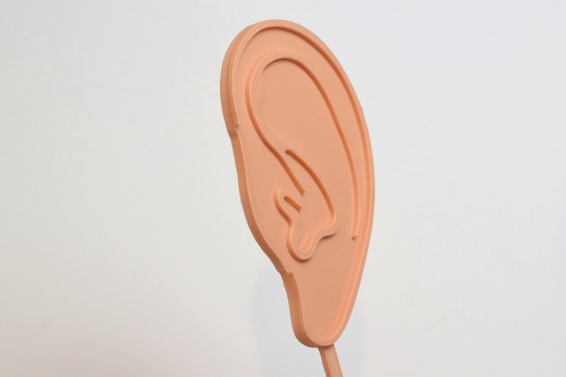 Ear Cake Topper Ear Gift Audiologist Gift Audiology Party ENT Gift ENT ...