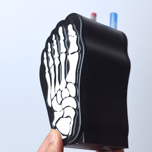 Foot Pen Holder, Podiatrist, Foot Bones, Podiatry, Doctor of Podiatry ...