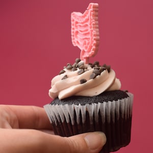 Intestine Cupcake Toppers, Gastrointestinal Party Decor - Etsy