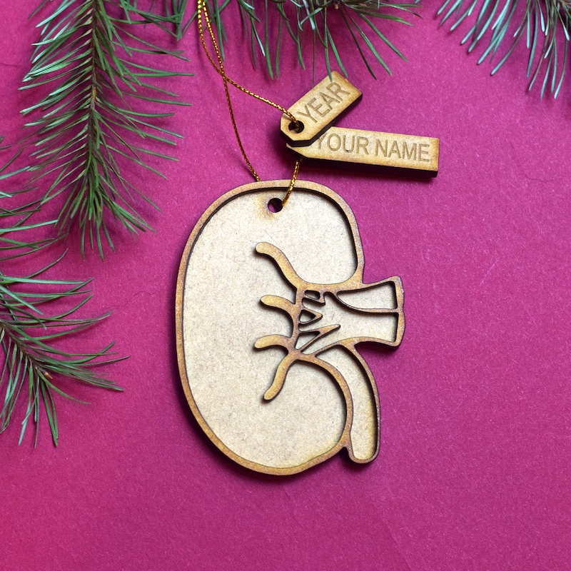 Kidney Gift - 60+ Gift Ideas for 2026