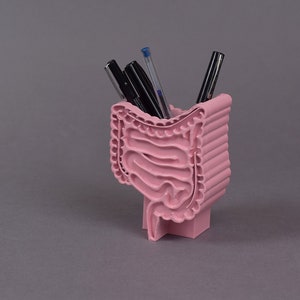 Intestine Pen Holder: Gastrointestinal Decor, Medical Gift - Etsy