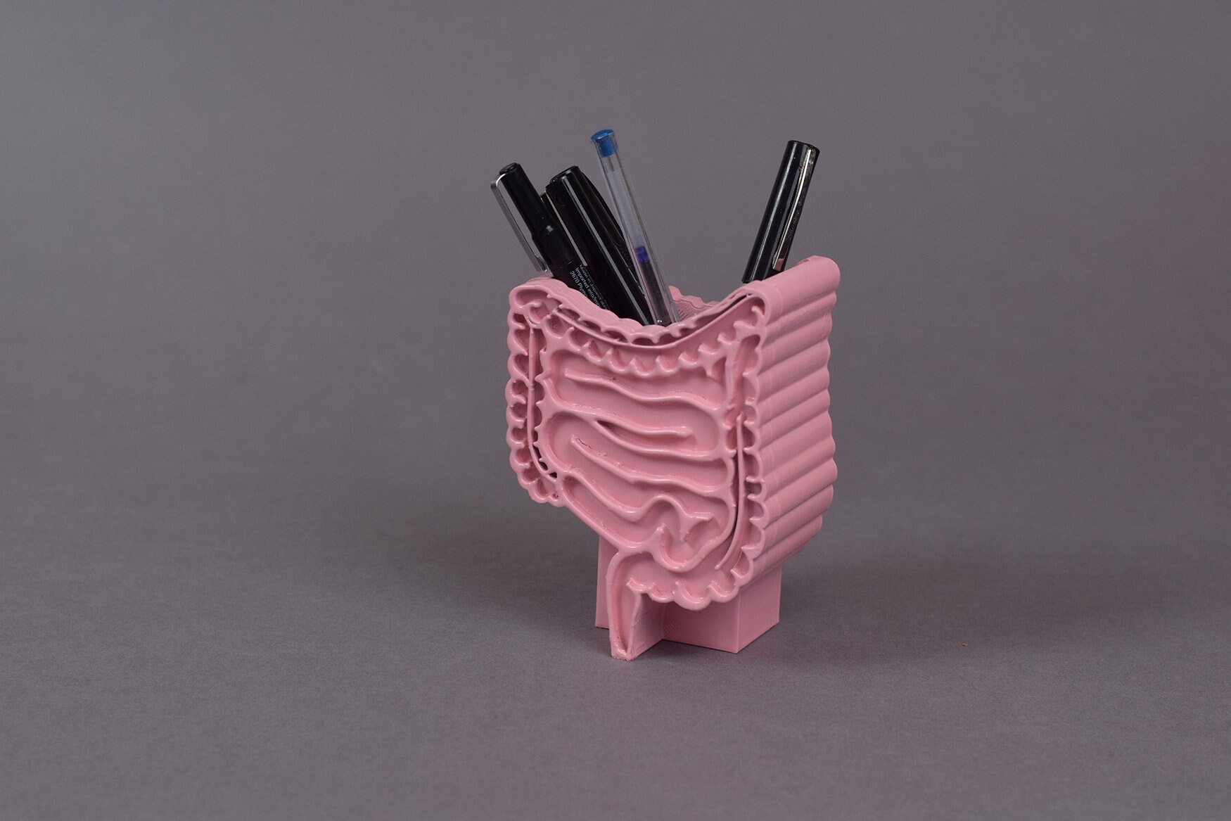 Intestine Pen Holder: Gastrointestinal Decor, Medical Gift - Etsy