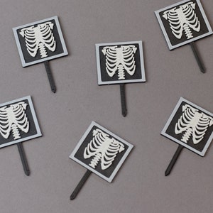 X-ray Cupcake Toppers, Skeleton Cupcake Topper, Radiologist Gift ...