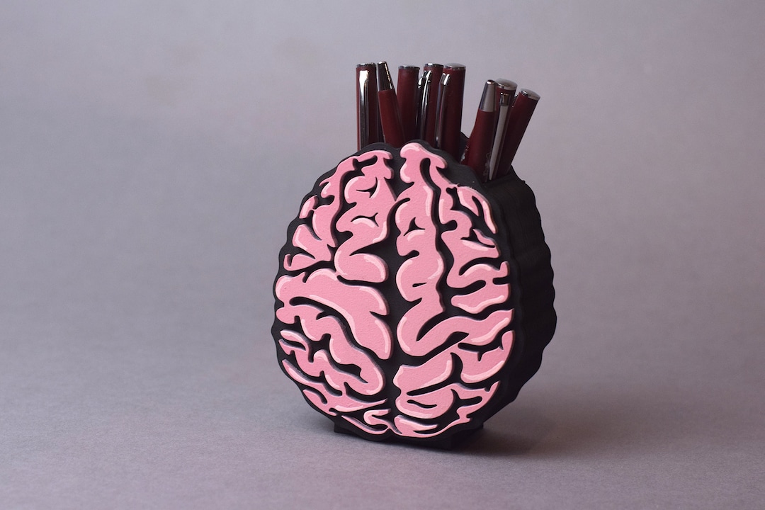 Hand Painted Brain Pen Holder: Medical Office Decor - Etsy