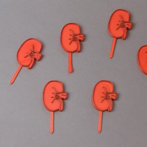 Kidney Cupcake Toppers, Organ Cupcake Topper, Doctor, Medical Cupcake ...