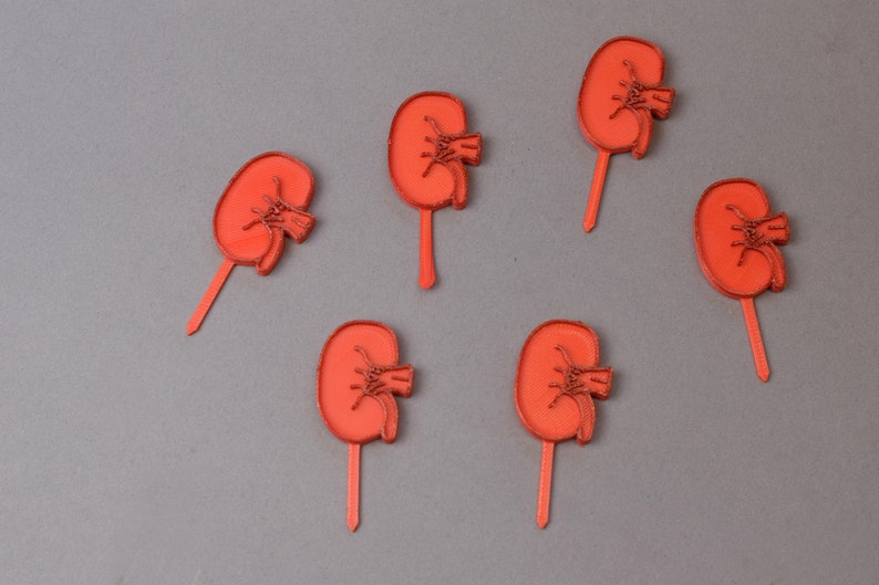 Kidney Cupcake Toppers Organ Cupcake Topper Doctor Medical - Etsy