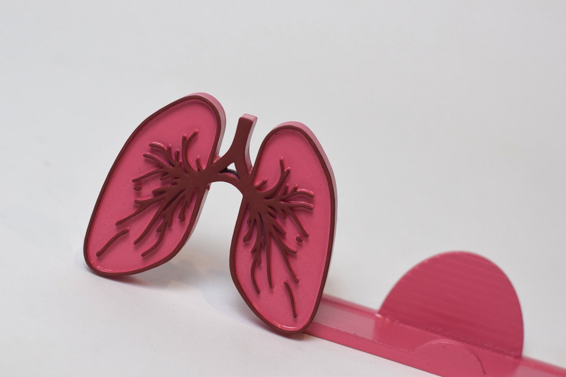 Lung Business Card Holder, Respiratory, Lungs Gift, Organ, Respiratory ...