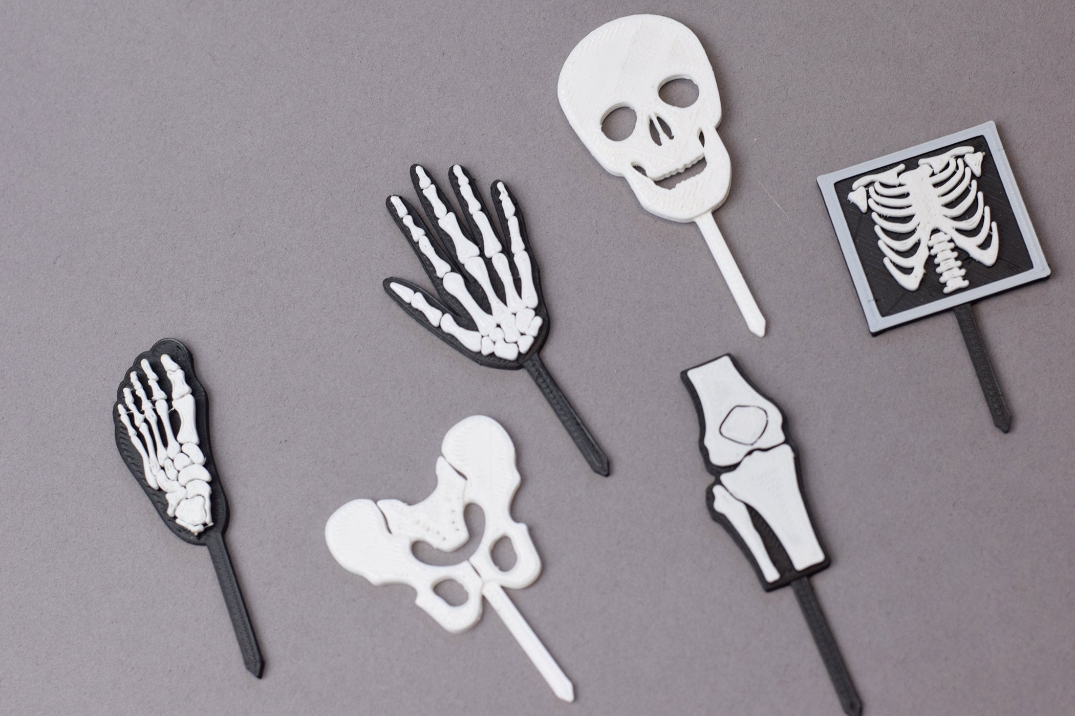 Bone Cupcake Toppers, Skeleton Cupcake Topper, Radiologist Gift ...