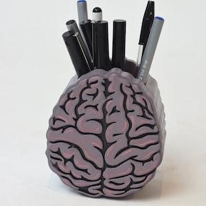 Brain Pen Holder, Neurologist, Neuro, Brain, Neurology, Brain Decor ...
