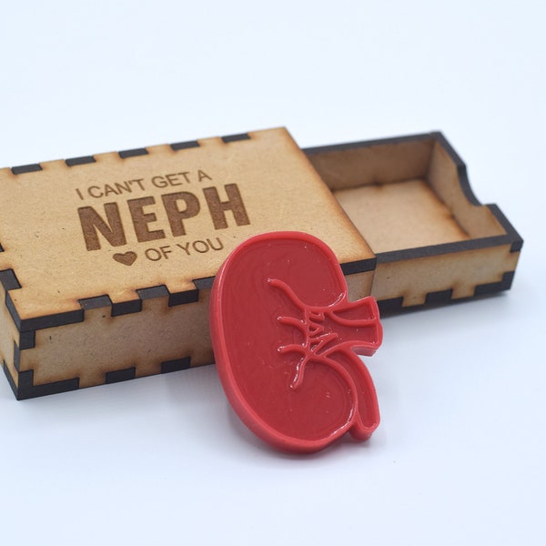 Kidney Gift - 60+ Gift Ideas for 2024