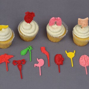 Organ Cupcake Toppers: Medical Doctor Party Decor, Graduation (set of ...