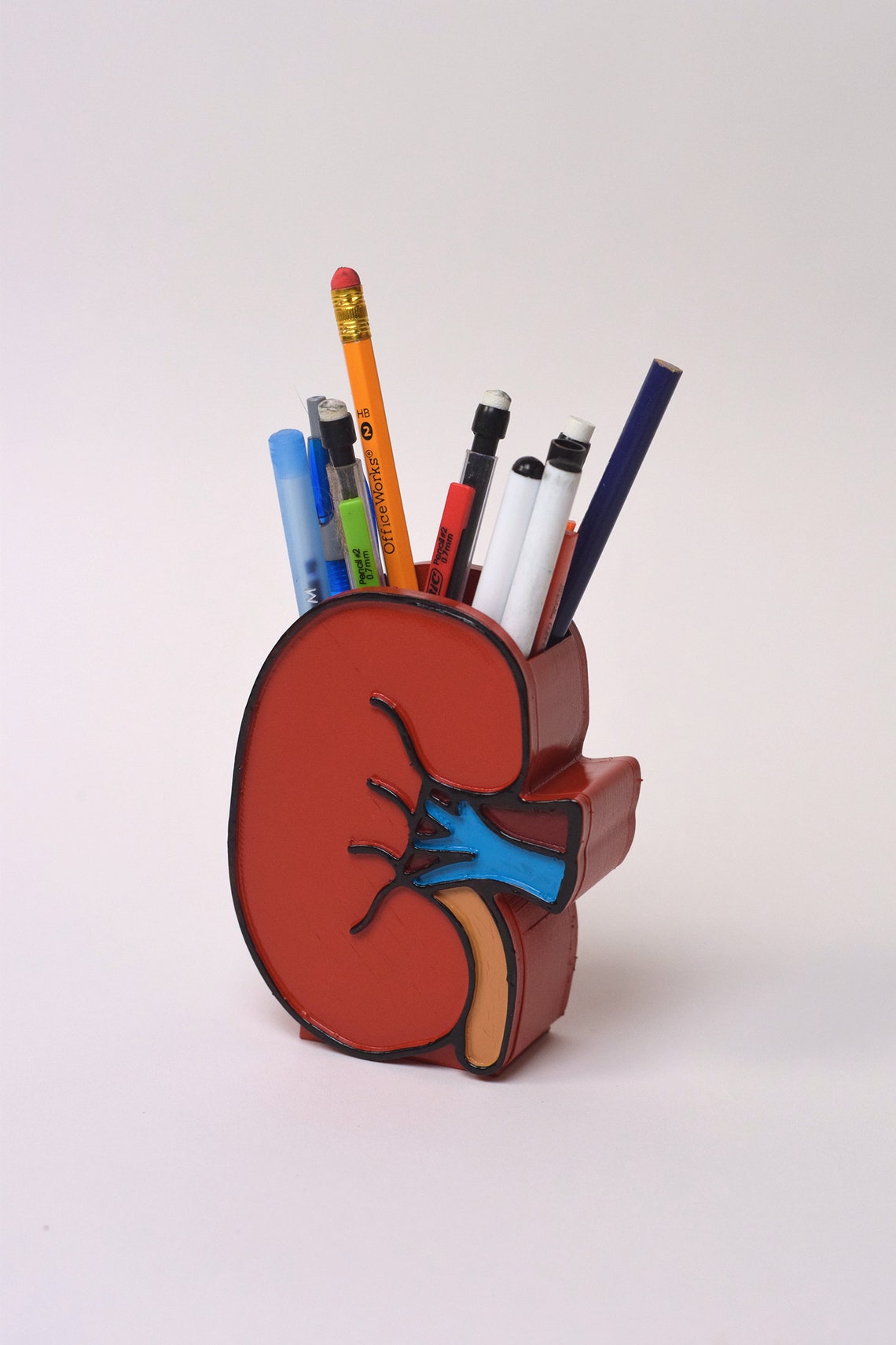 Anatomical Kidney Pen Holder Kidney Decor Dialysis Dialysis | Etsy