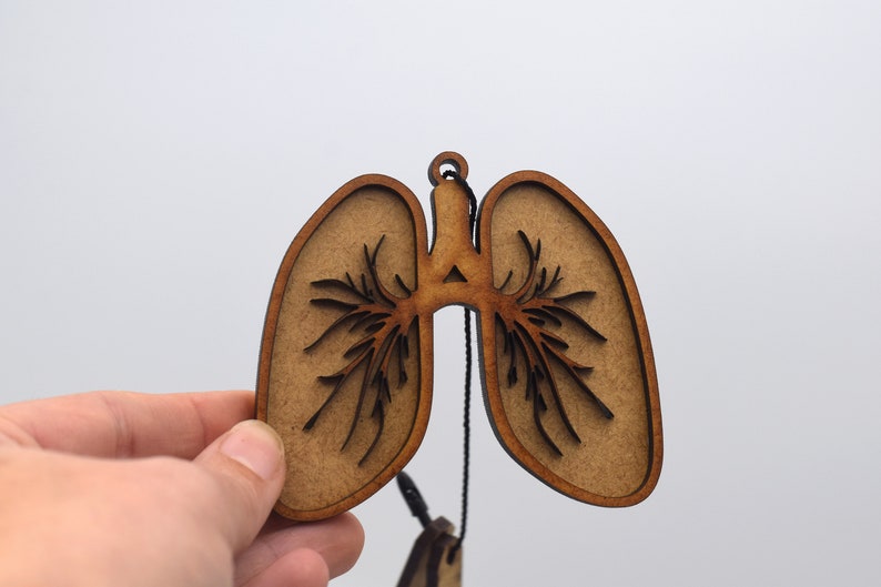 Lung Ornament Respiratory Lungs Gift Organ Ornament Respiratory Therapy ...