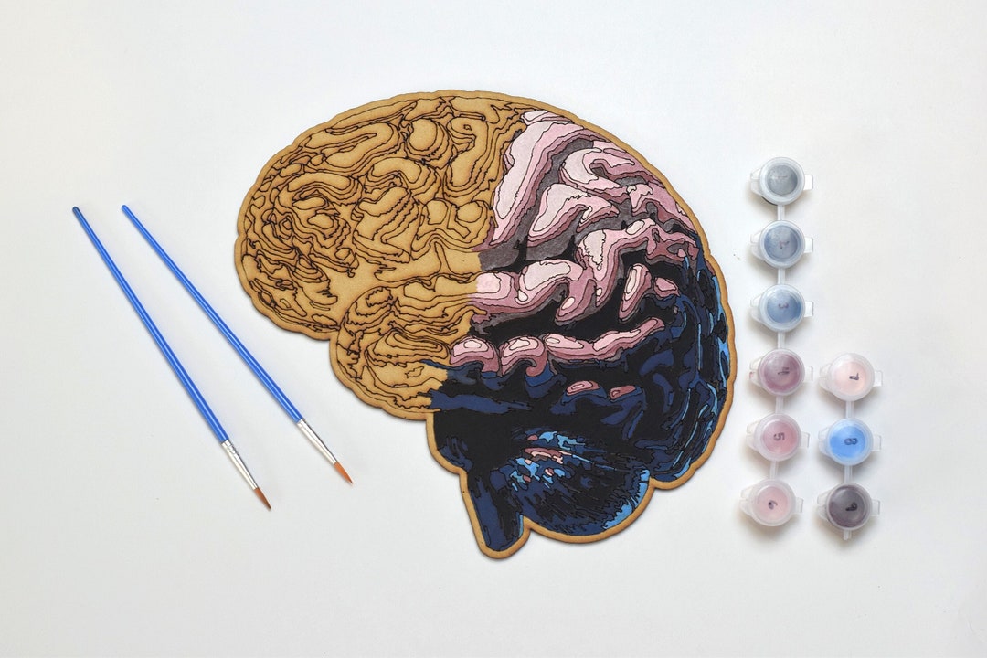 Brain Paint by Number Kit Neurologist Neuro Brain Gift Neurology Brain ...