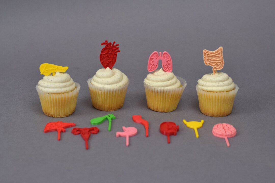 Organ Cupcake Toppers: Medical Doctor Party Decor, Graduation (set of ...
