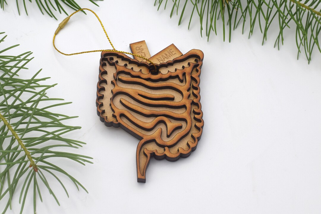 Wood Intestine Ornament Intestine Gift Gastrointestinal Ornament Colon ...