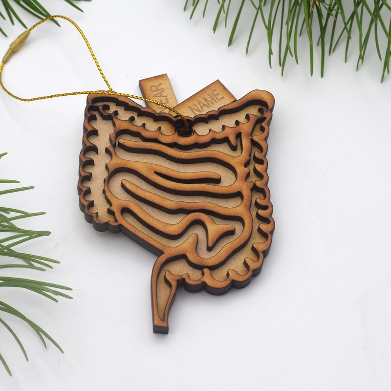 Intestines - Etsy
